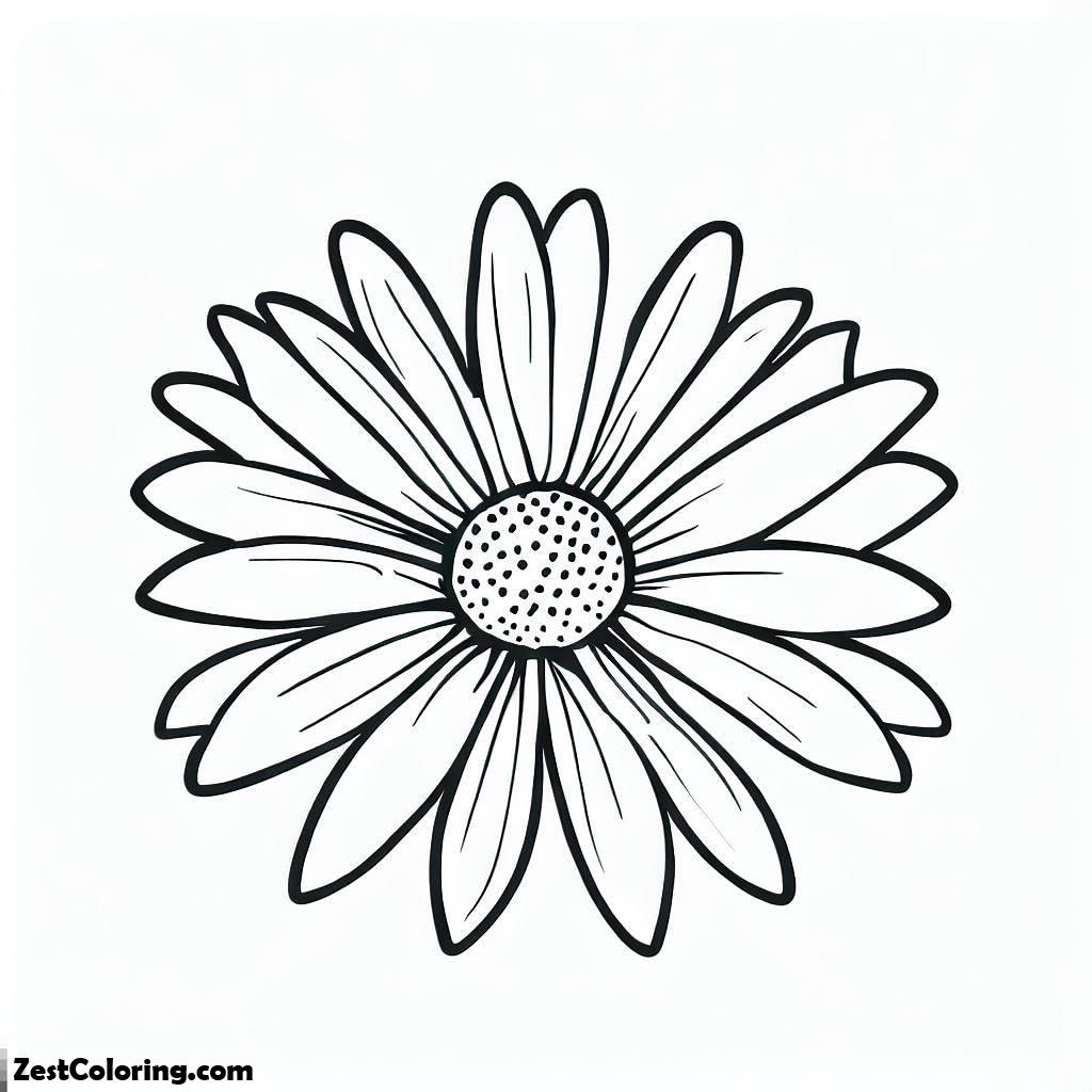 Daisy Flower Coloring Page : Coloring for Kids – Smart, Creative, and Fun