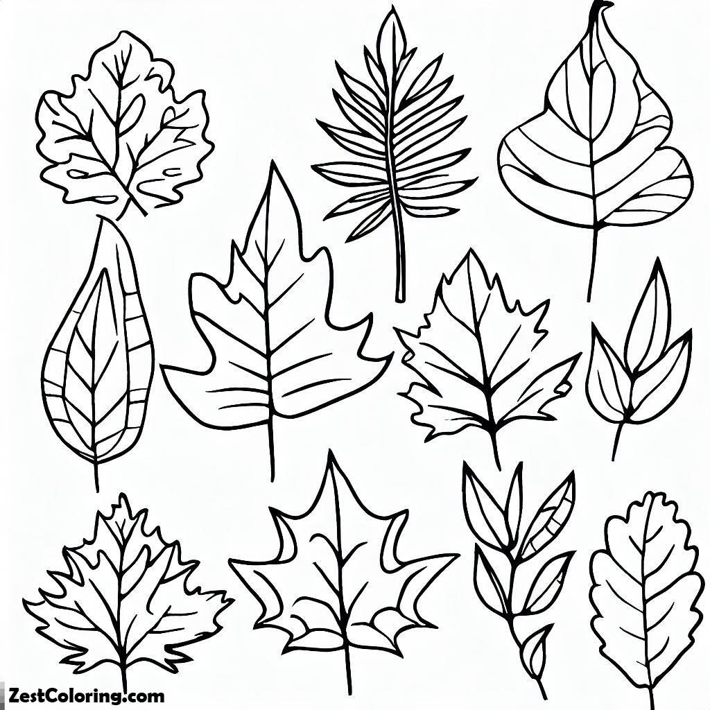 Different Type Of Autumn Leaf Coloring Page : Coloring for Kids – Smart ...
